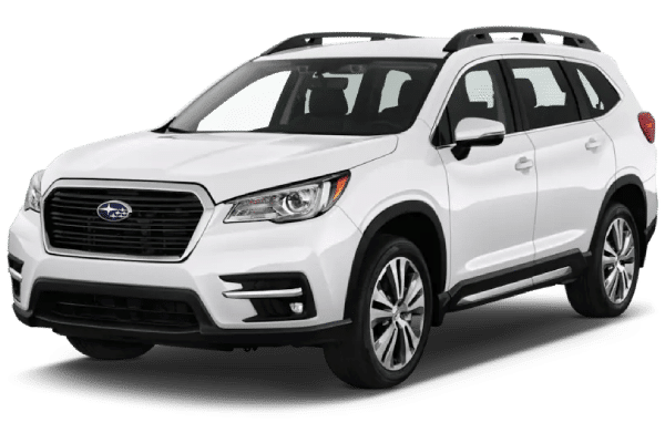 Subaru Ascent Window Shades WM 2019-Present
